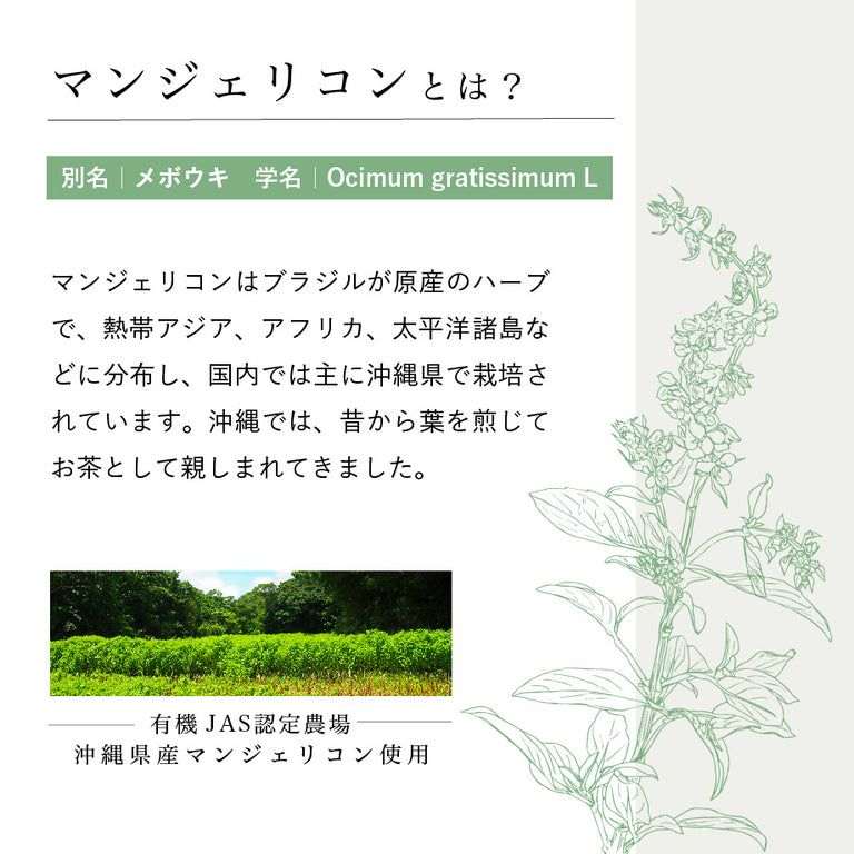 マンジェリコンサプリメントWELL 90粒入り – WELL8｜公式オンラインストア